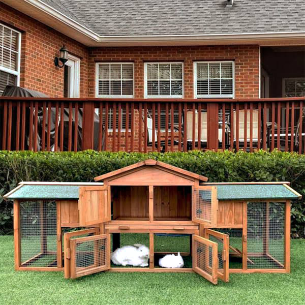 Tucker Murphy Pet™ Delja Extra Large Outdoor Wooden Elevated Rabbit Hutch with Ramp and Large ...